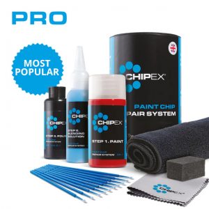 Nissan SILICA GOLD EY2 Touch Up Paint Kit | Chipex USA